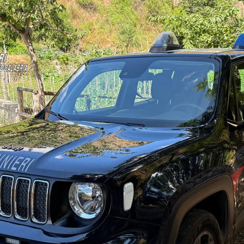 Gioia Tauro, insospettisce l’auto coperta di fango sulla Statale 18 ...